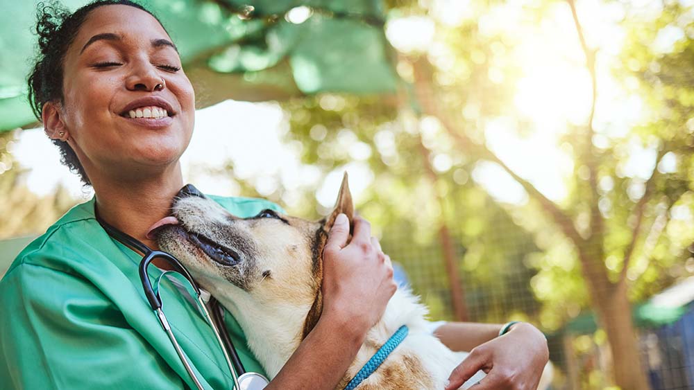 How to Attract Great Leaders to Your Veterinary Practice - VetLead