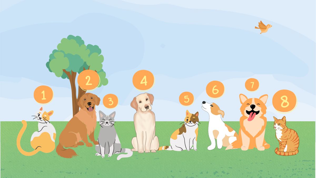 The 8 Vectors of Organizational Change - VetLead