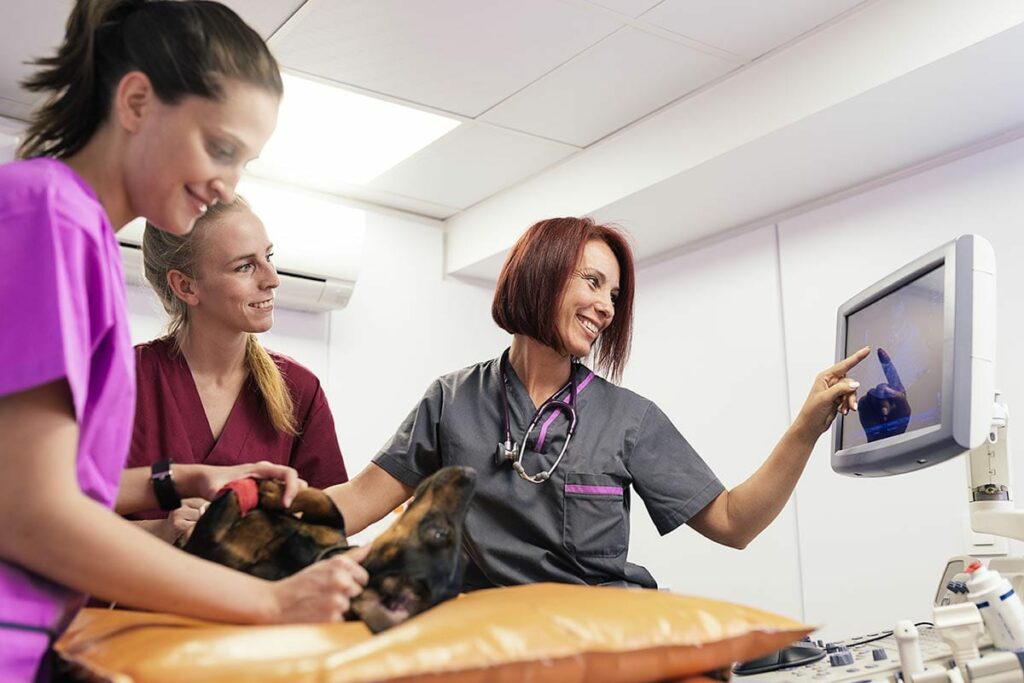 What Good Looks Like: Training in Your Veterinary Practice - VetLead