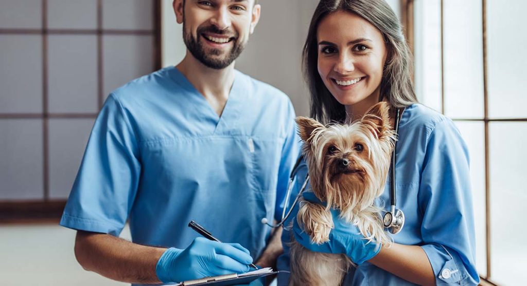 Veterinary Leadership Program - VetLead