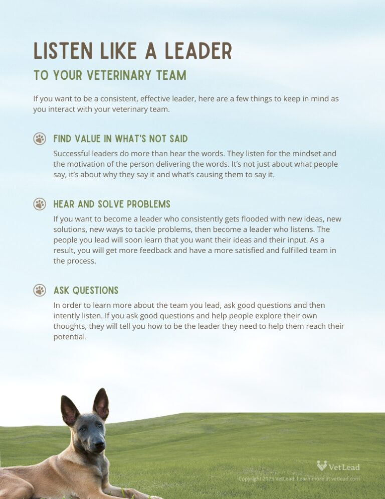 Listen Like a Leader - VetLead