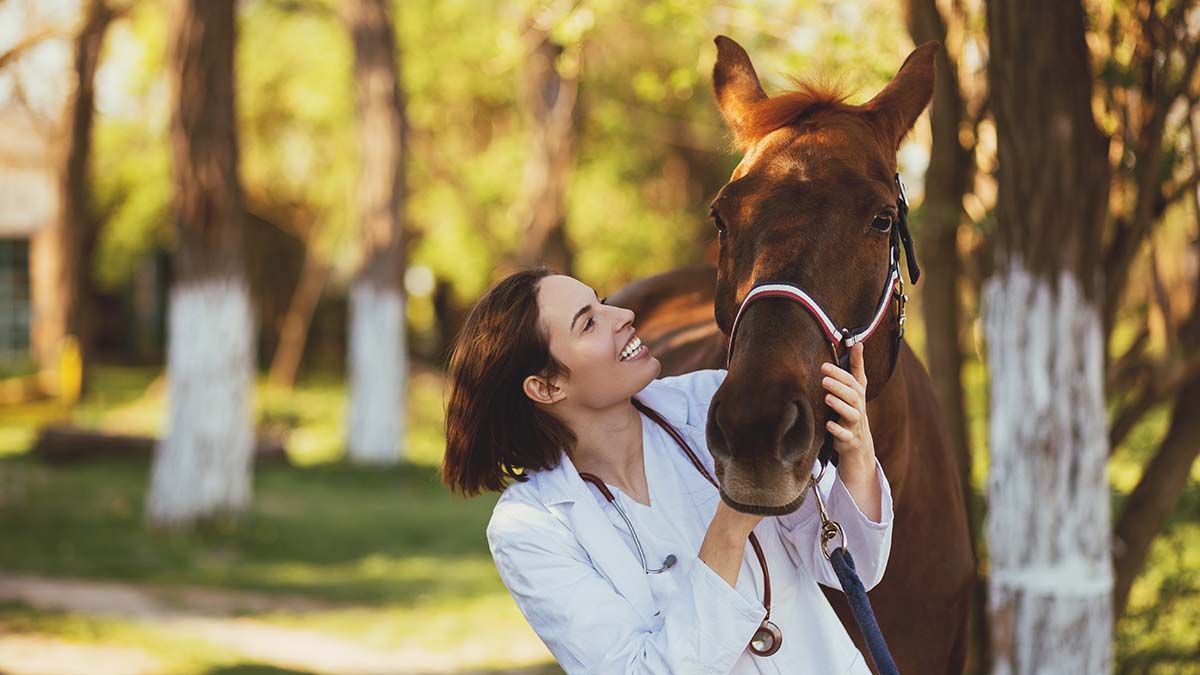 Veterinary leaders fall. Great ones know how to get back up. - VetLead