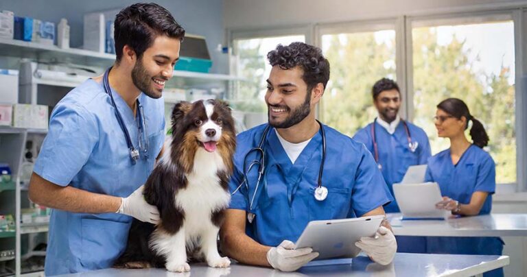 Drive Employee Engagement: The Touchpoints Veterinary Leaders Need to ...