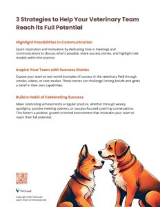 How to Set Your Veterinary Team Up for Success - VetLead