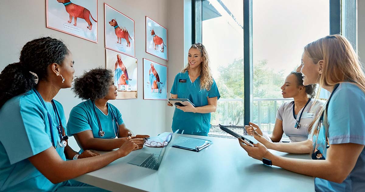 3 Challenges New Veterinary Leaders Face - VetLead