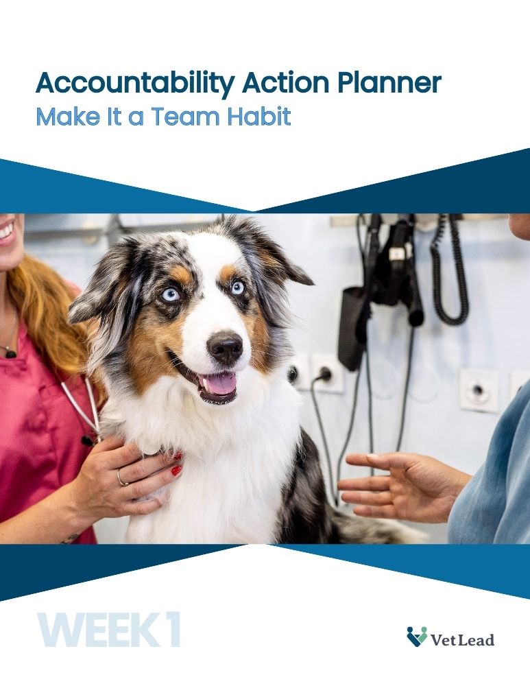 Accountability Action Planner: Make It a Team Habit – VetLead